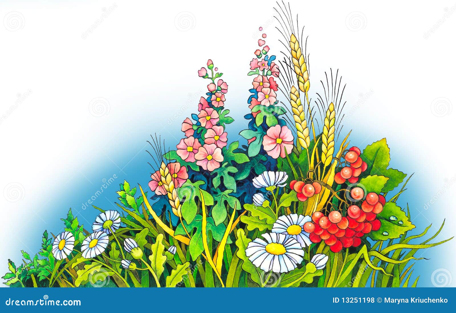 Wildflowers stock illustration. Illustration of greens - 13251198