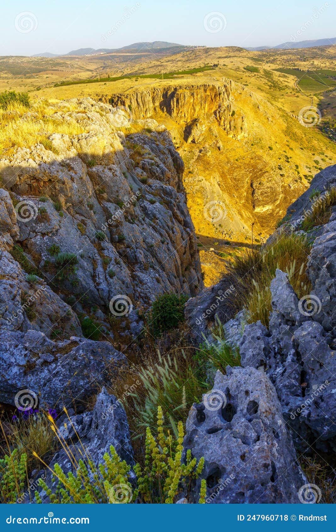 Wildflowers and the Cliffs of Mount Nitai, in Mount Arbel Stock Photo ...