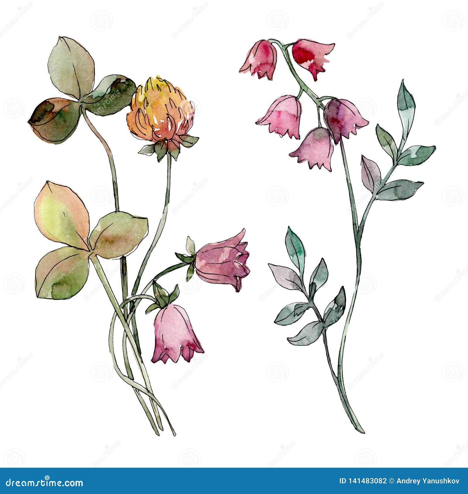 Wildflowers Print Floral Botanical Flower. Watercolor Background Set ... Wildflowers Print Floral Botanical Flower. Watercolor Background Set ...