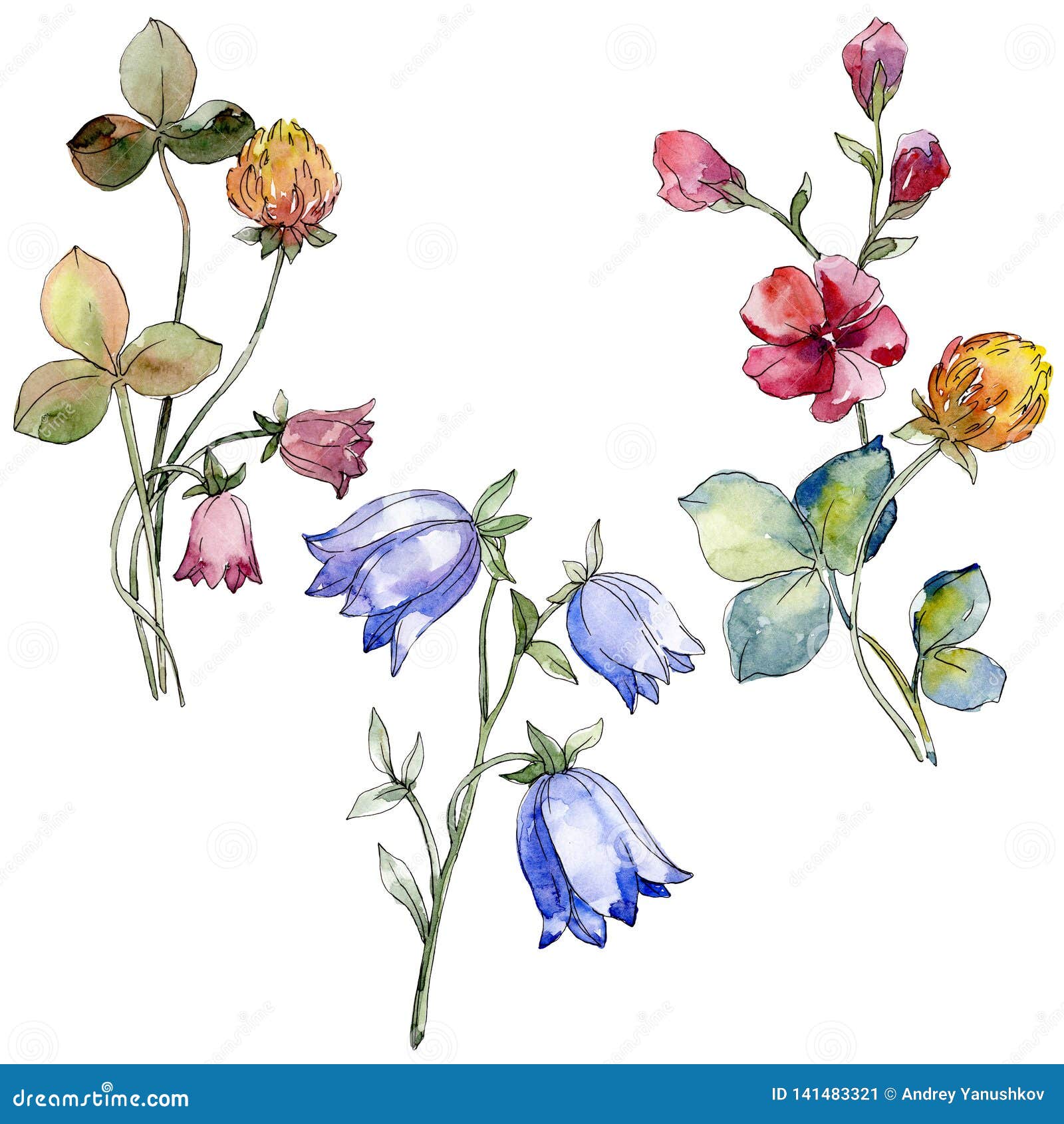 Wildflowers Print Floral Botanical Flower. Watercolor Background Set ... Wildflowers Print Floral Botanical Flower. Watercolor Background Set ...