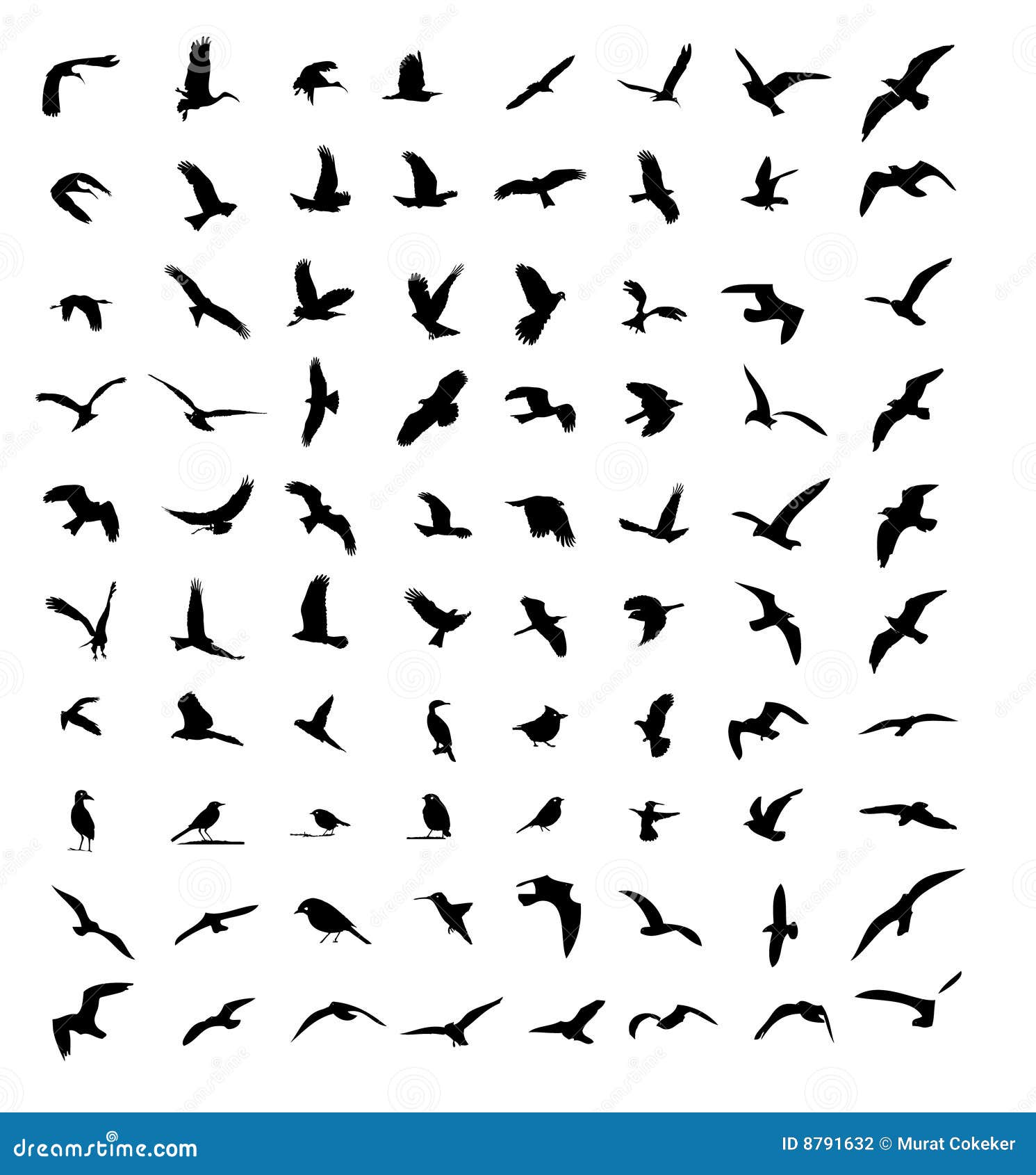 Wildlife Bird Silhouettes Set Vector Illustration | CartoonDealer.com ...