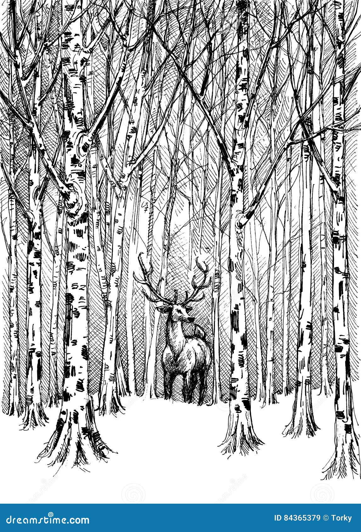 Wildlife carbon drawing stock vector. Illustration of drawing - 84365379