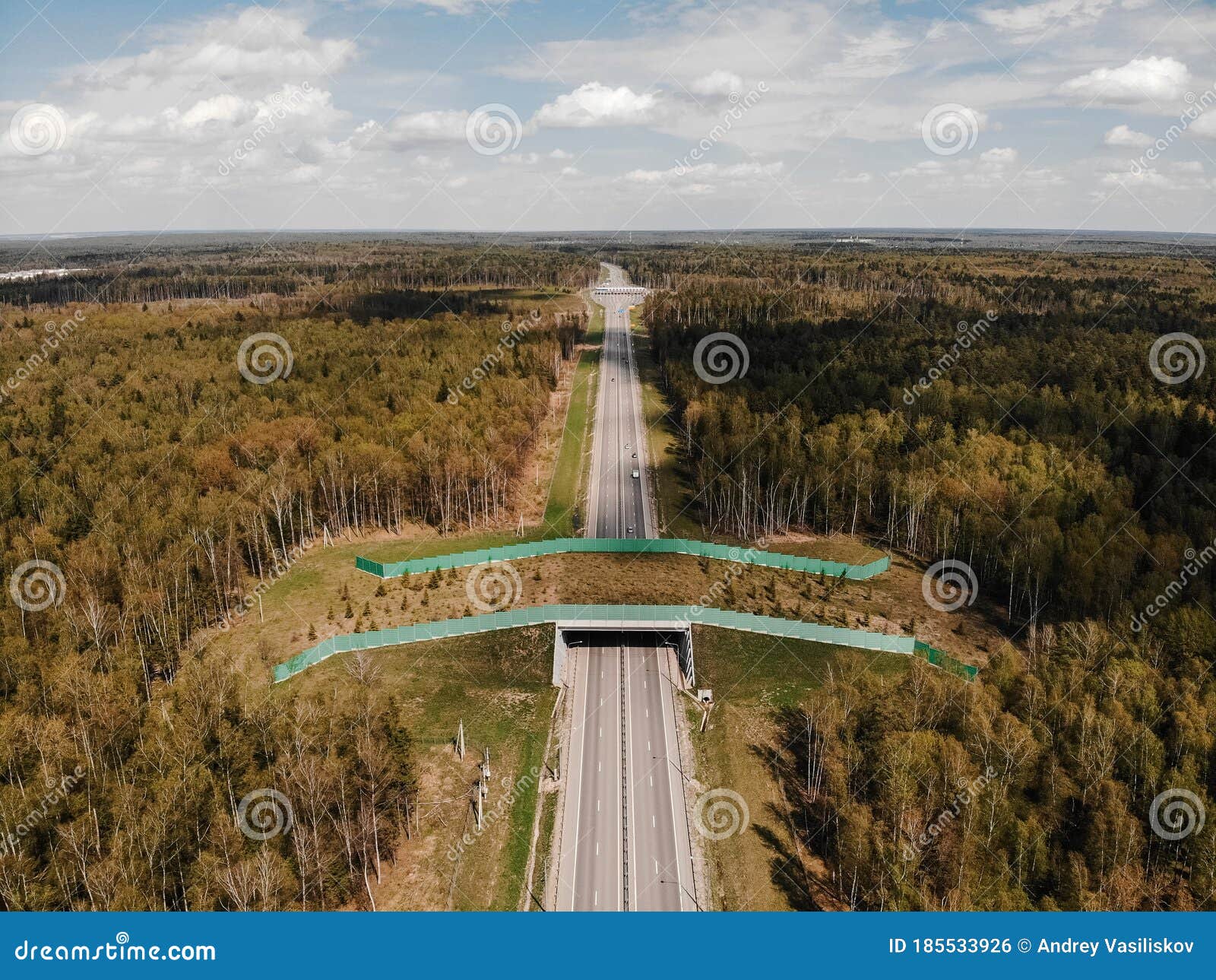 Wildlife Crossing - Bridge Over a Highway in Forest Stock Photo - Image ...