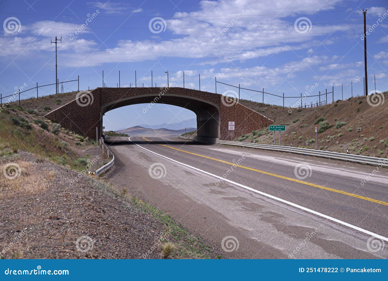 Wildlife Crossing Overpass stock photo. Image of highway - 251478222