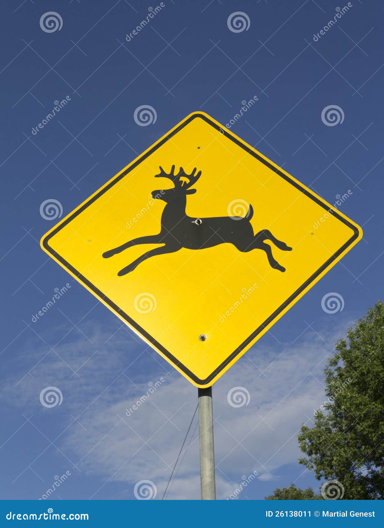Wildlife Crossing Warning Sign Stock Image - Image of warning, sign ...