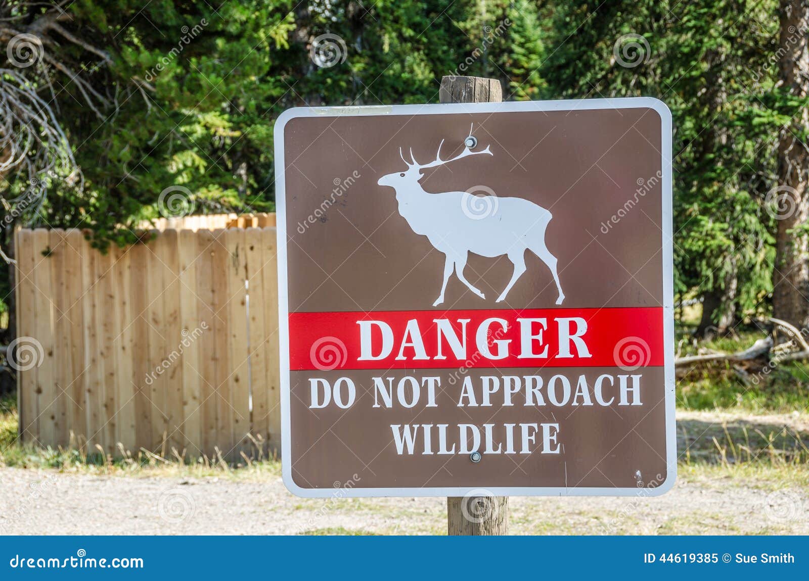Wildlife Danger Sign stock image. Image of communication - 44619385