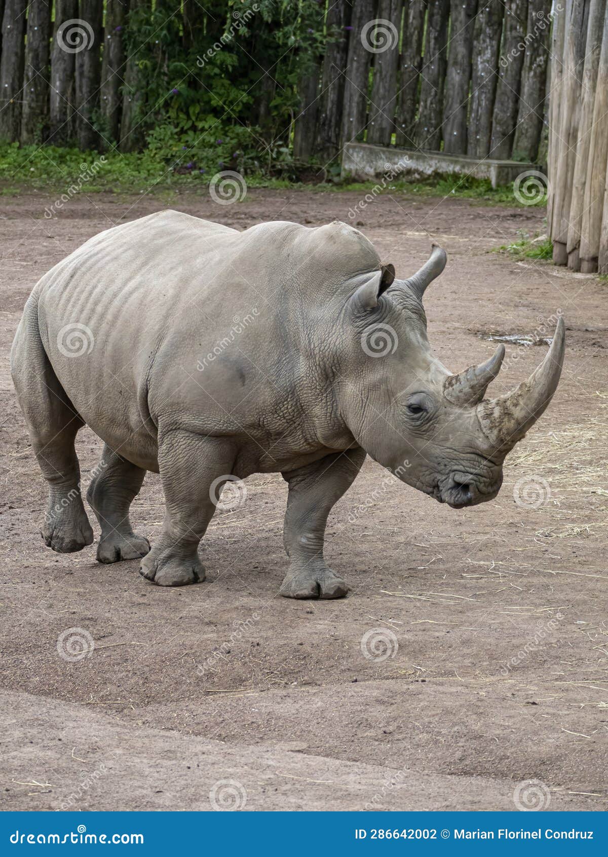 Wildlife at GaiaZOO in Kerkrade Netherlands Stock Photo - Image of ...