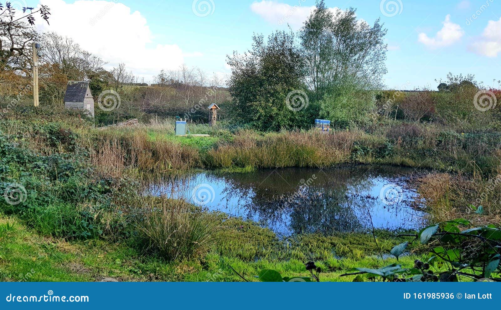 Wildlife Garden Pond and Bird Hide, Cornwall , Uk Stock Photo - Image ...