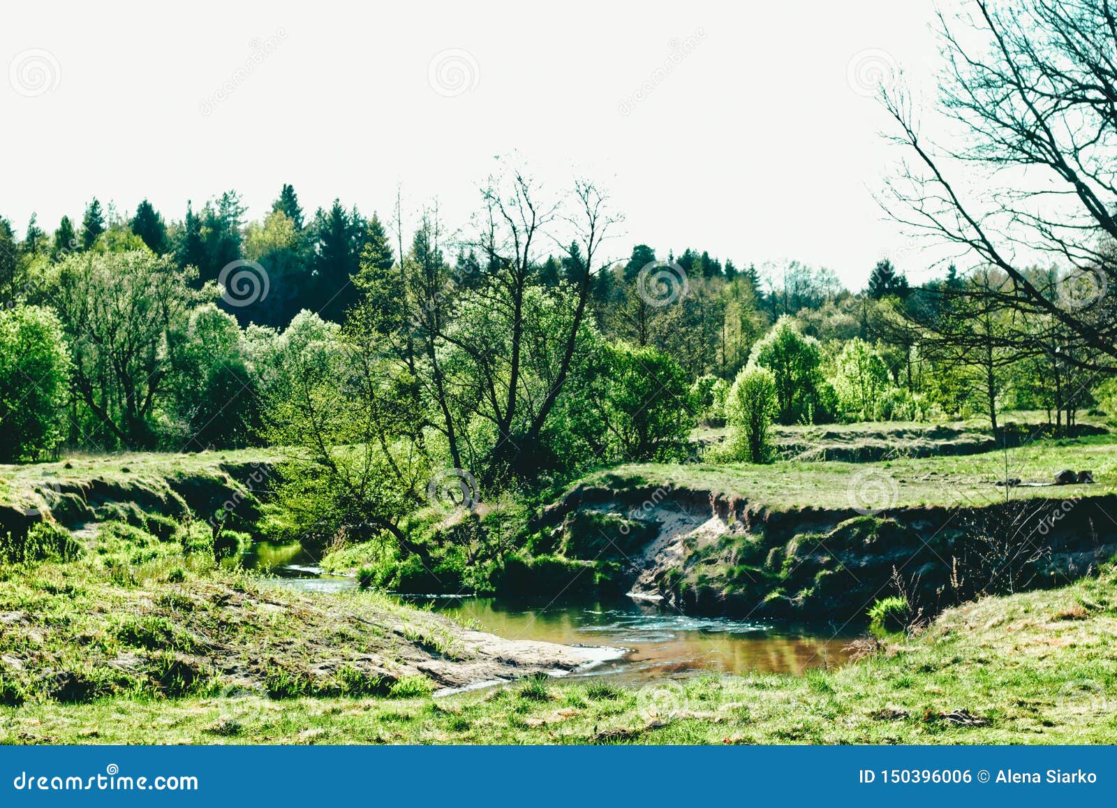 Wildlife Landscape with River and Trees Stock Photo - Image of ...
