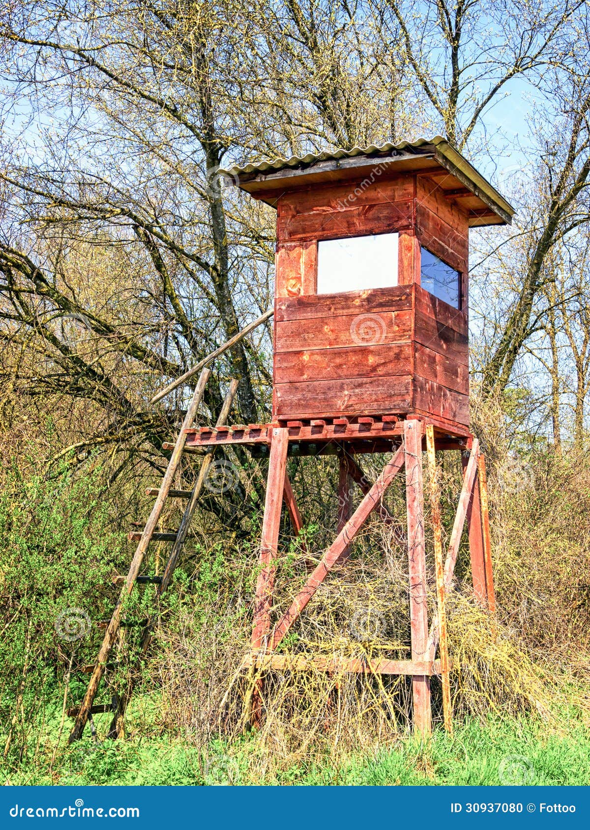 Wildlife observation point stock photo. Image of observation - 30937080