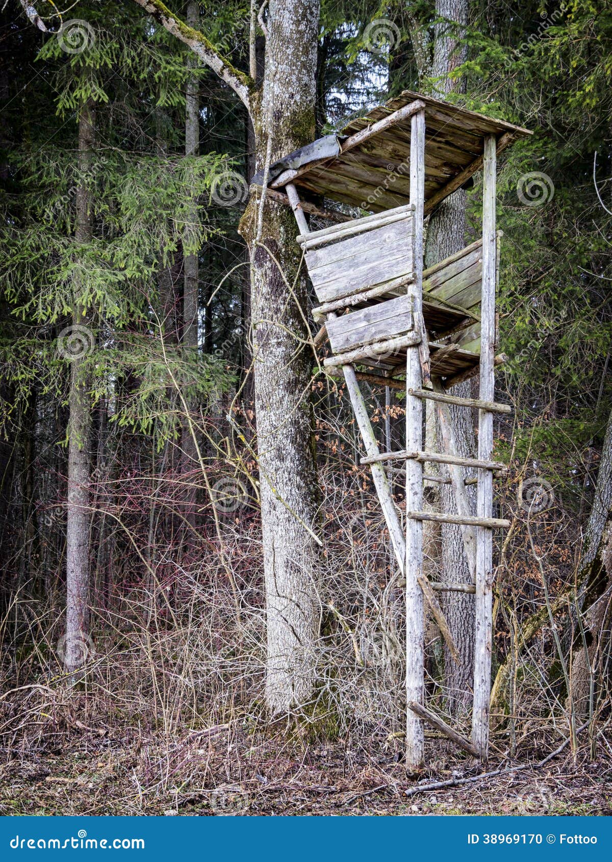 Wildlife observation point stock photo. Image of single - 38969170