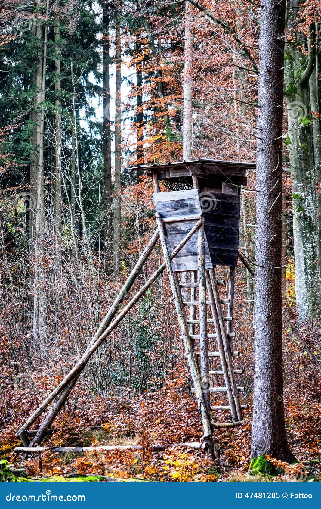 Wildlife observation point stock image. Image of lookout - 47481205