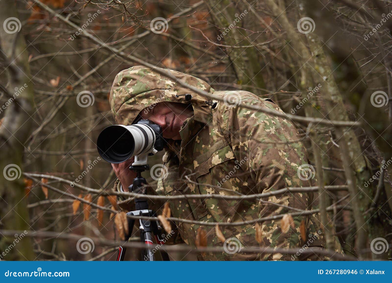 Wildlife Photographer with Camera Stock Photo - Image of people, shot ...