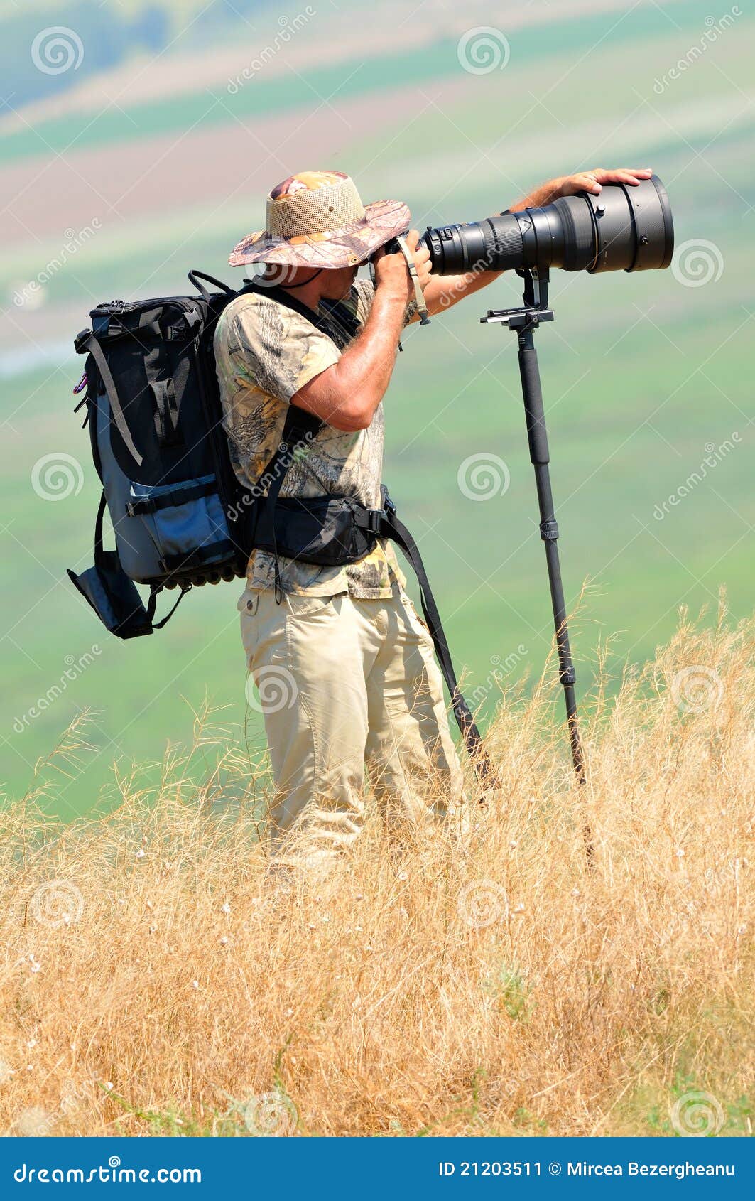 Wildlife Photographer Outdoor Stock Image - Image of expression ...