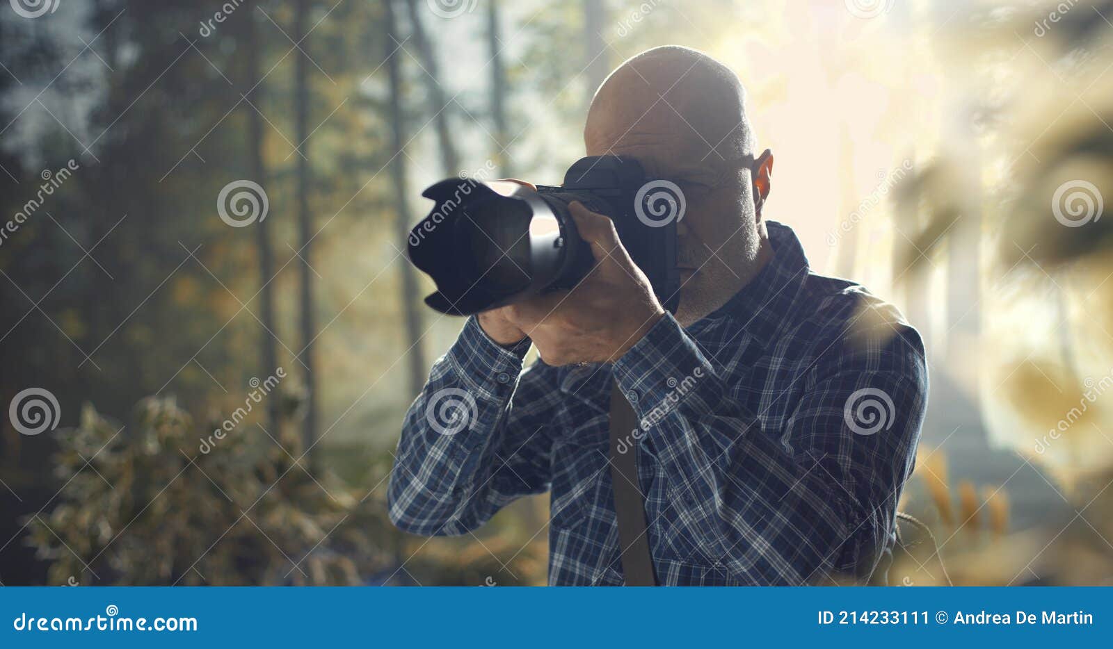 Wildlife Photographer Shooting in a Forest Stock Image - Image of ...