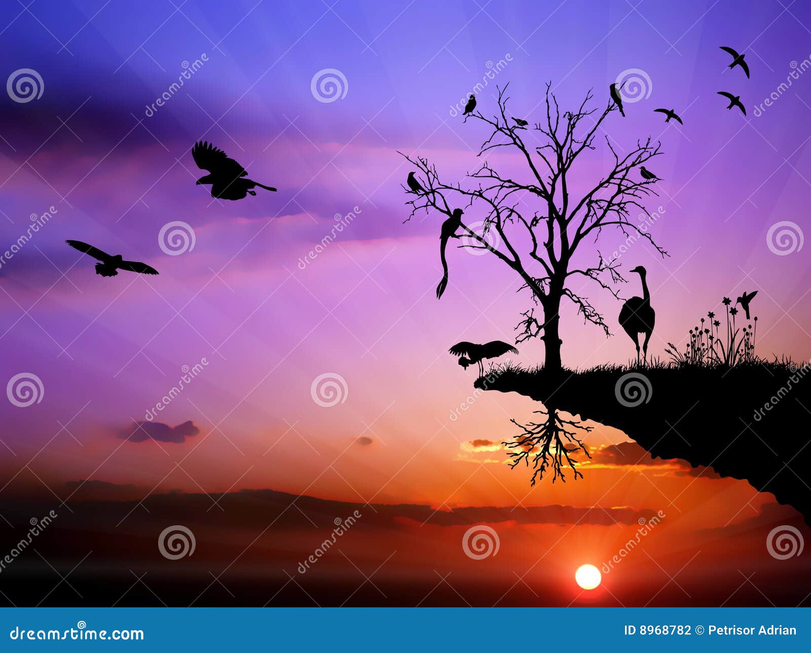 Wildlife Sunset Birds Colorful Illustration Stock Illustration ...