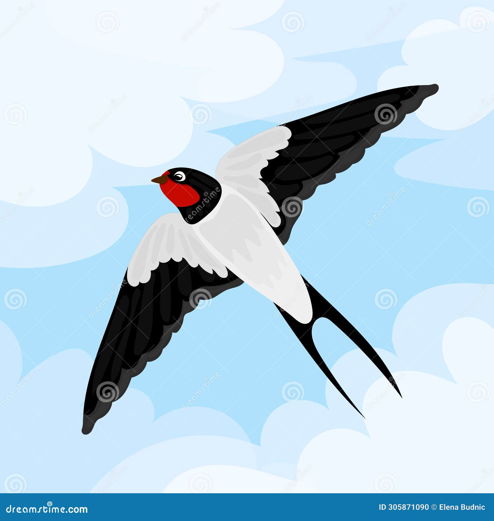 Wildlife Swallow. Isolated Flying Swallows Bird Stock Illustration ...