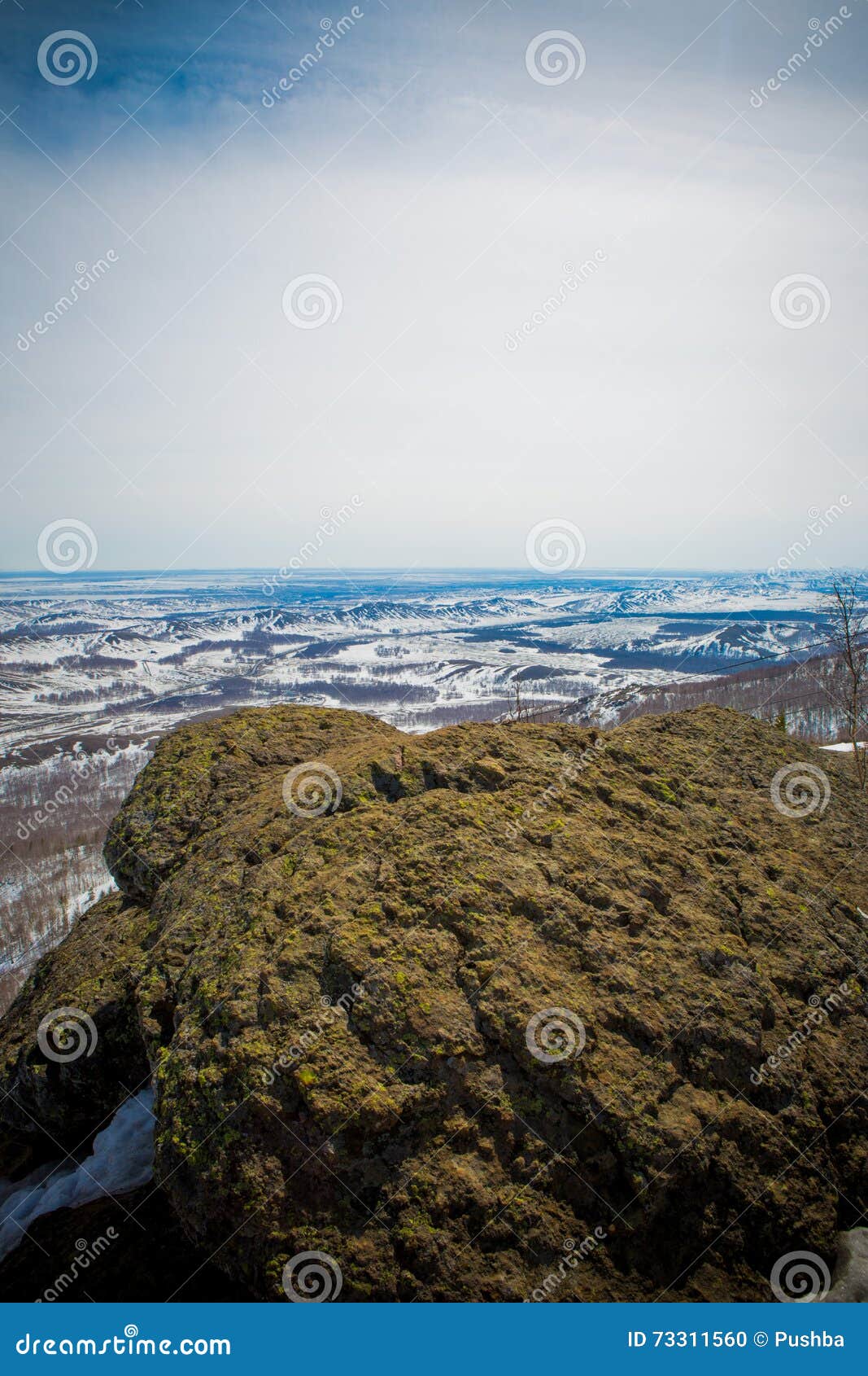 Wildlife Ural Mountains stock photo. Image of snow, mountain - 73311560