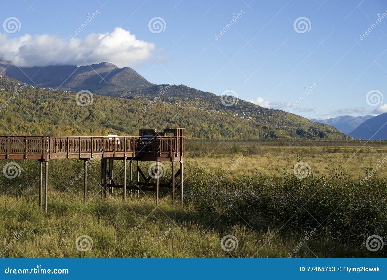 Wildlife Viewing at Potter Marsh Anchorage Alaska Stock Image - Image ...