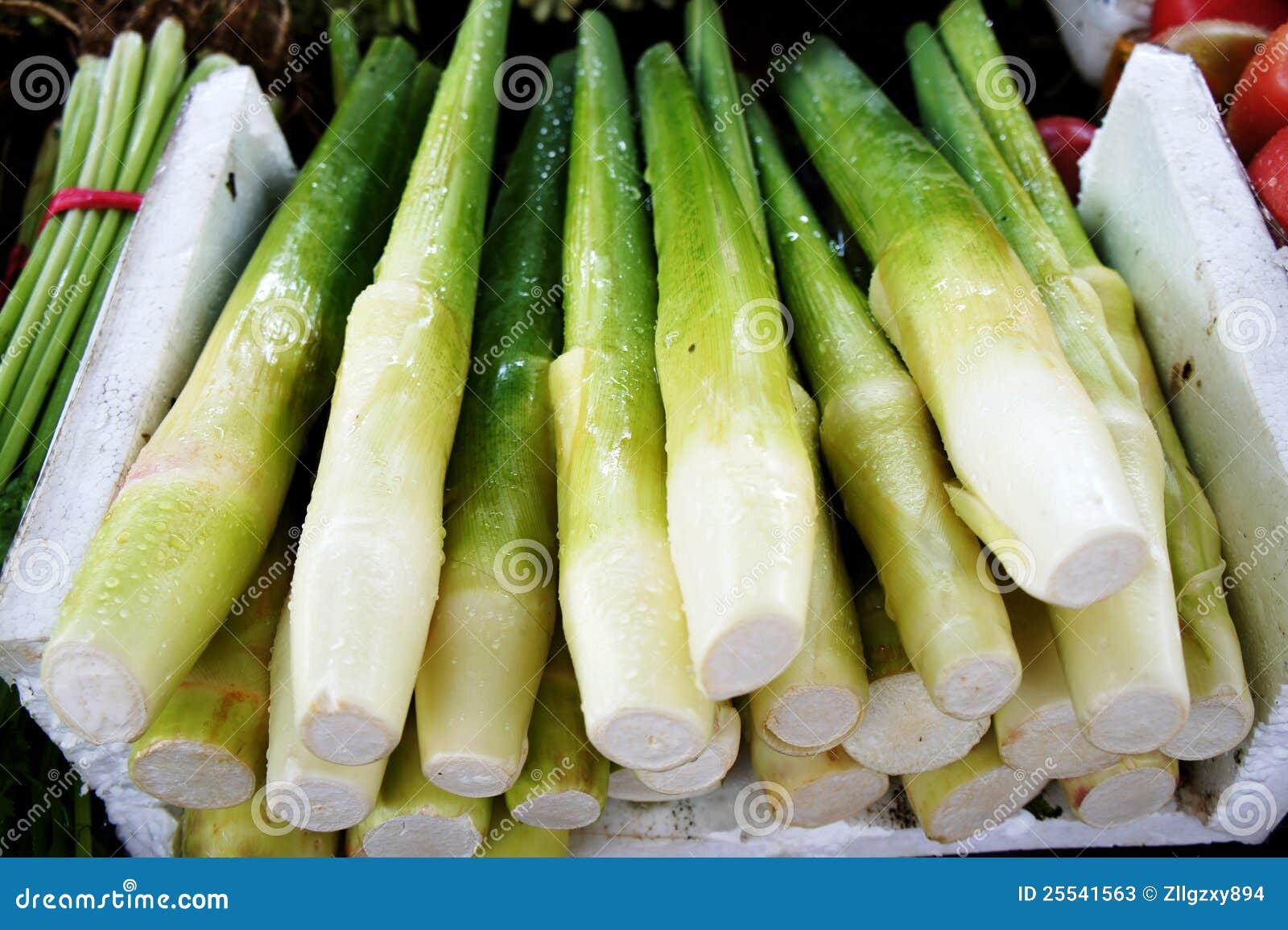 Wildrice Stem Stock Photos - Image: 25541563