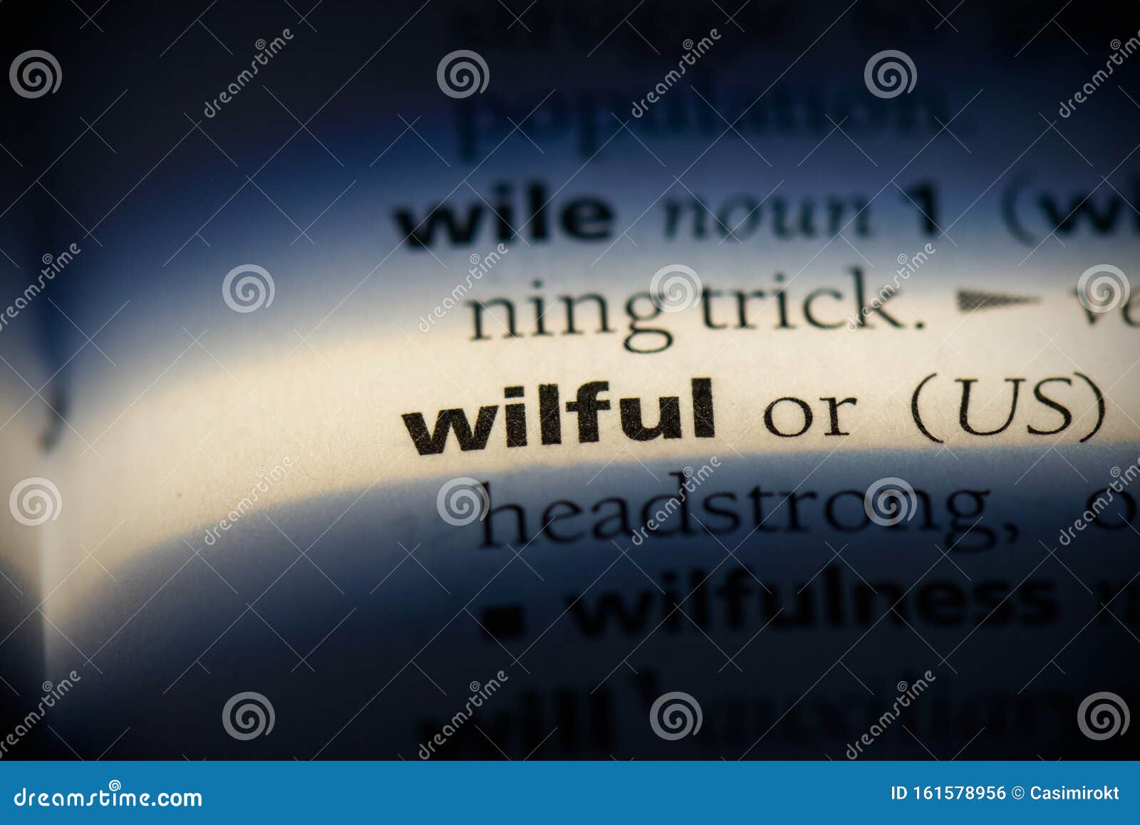 Wilful stock photo. Image of macro, linguistic, highlight - 161578956