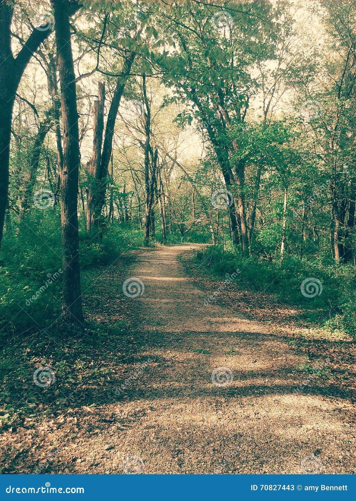 Will you follow me? stock image. Image of follow, trails - 70827443