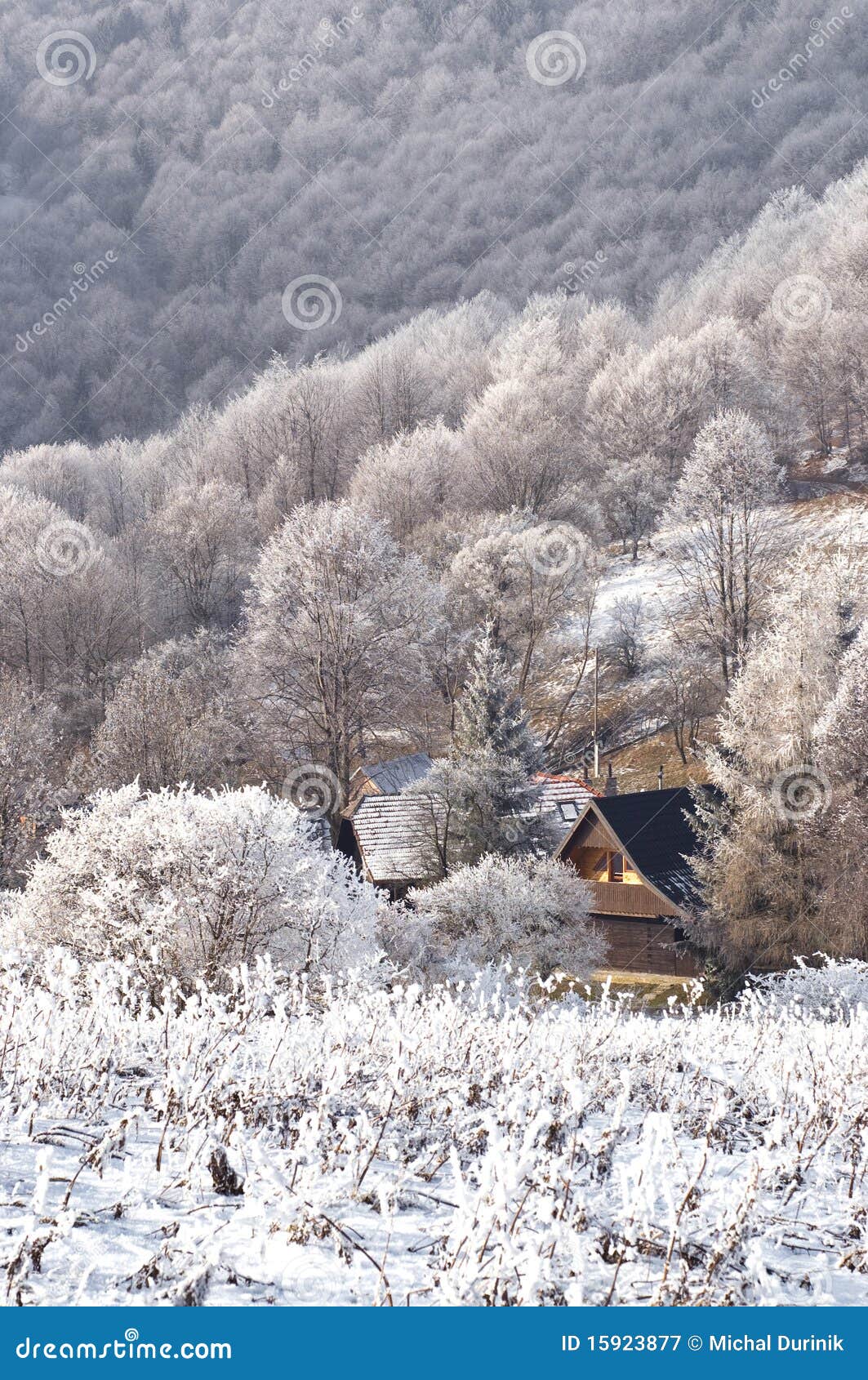 Willage in the Middle of Winter Forest Stock Image - Image of cold ...