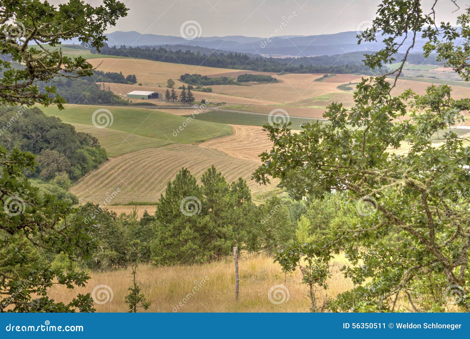 Willamette Valley Landscape, Oregon Stock Image - Image of woods, tree ...