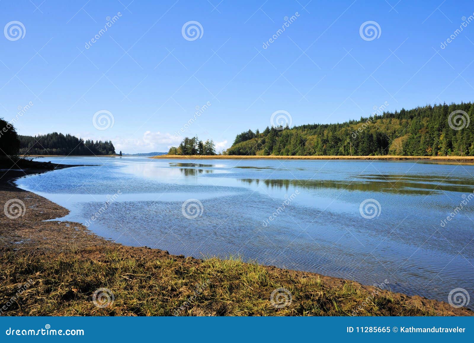 Willapa National Wildlife Refuge Estuary Stock Image - Image of estuary ...