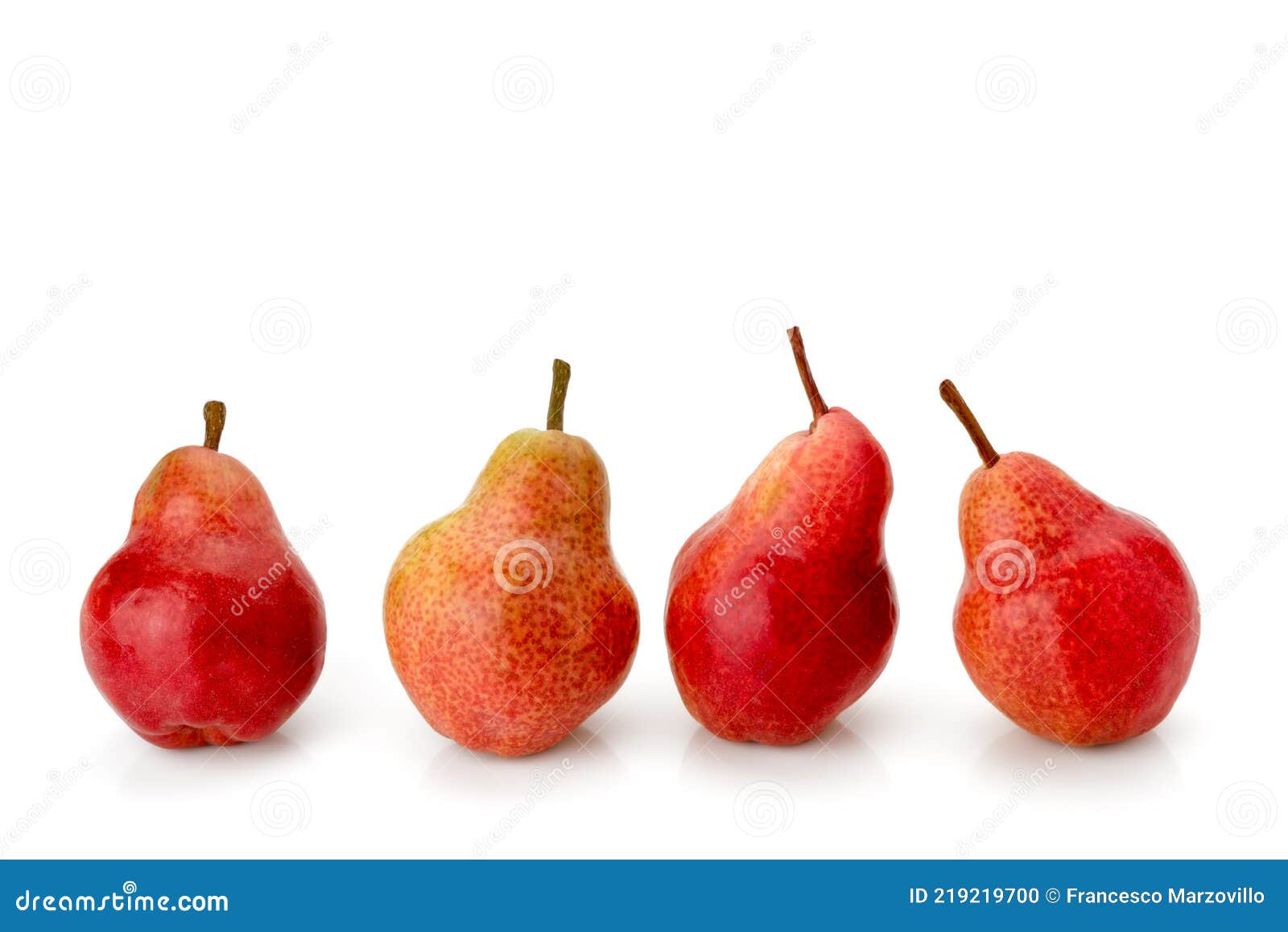 William Max Red Bartlett Pear Stock Photo - Image of organic, isolated ...