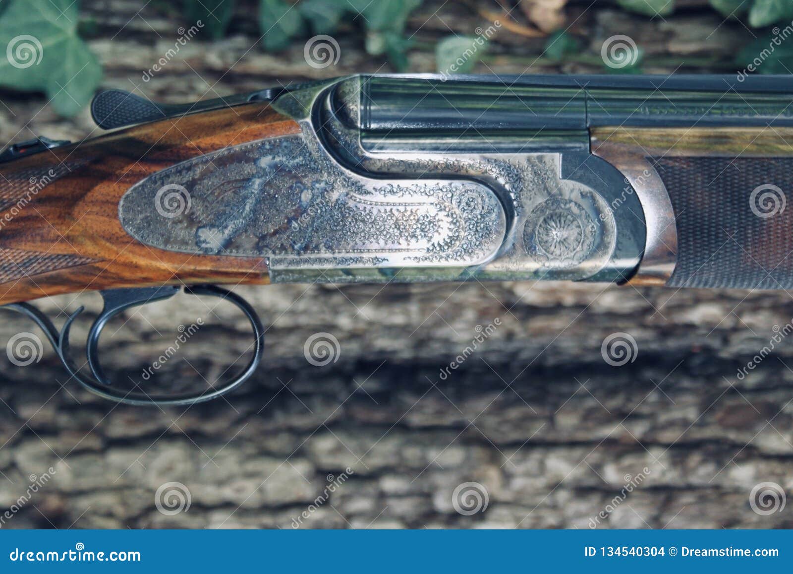 William Moore & Grey Shotgun Editorial Stock Image - Image of moore ...