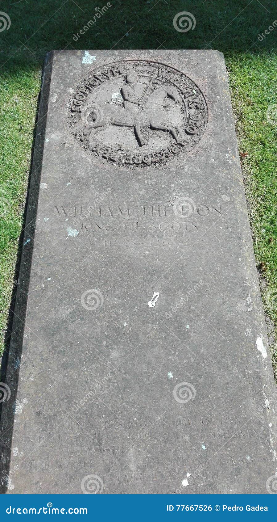 Williams grave stock photo. Image of headstone, concrete - 77667526