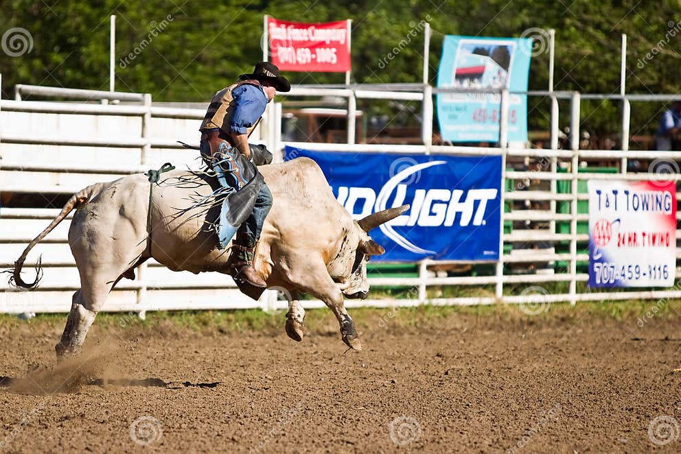 Willits Frontier Days Rodeo Editorial Stock Photo - Image of america ...
