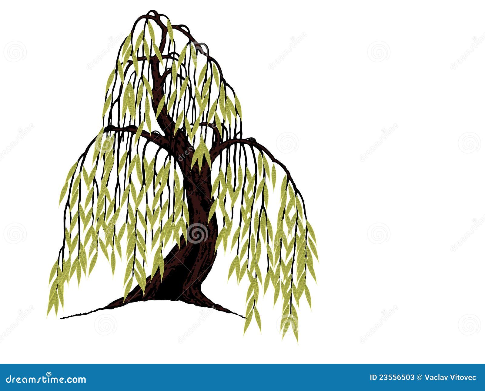 Weeping Willow Cartoons, Illustrations & Vector Stock Images - 34523 ...