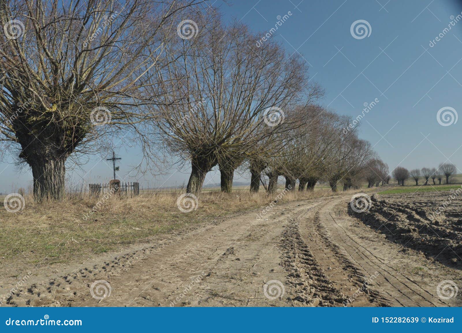 Avenue Of Ram-headed Criosphinxes At The Temple Of Amun, Karnak, Luxor ...