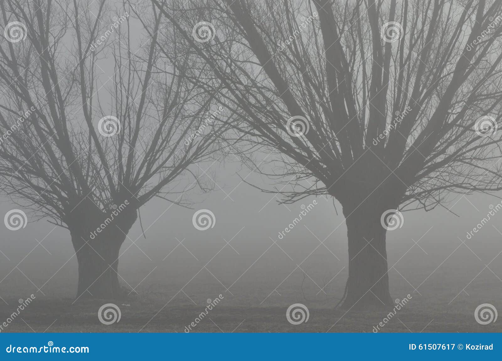 Avenue Of Ram-headed Criosphinxes At The Temple Of Amun, Karnak, Luxor ...