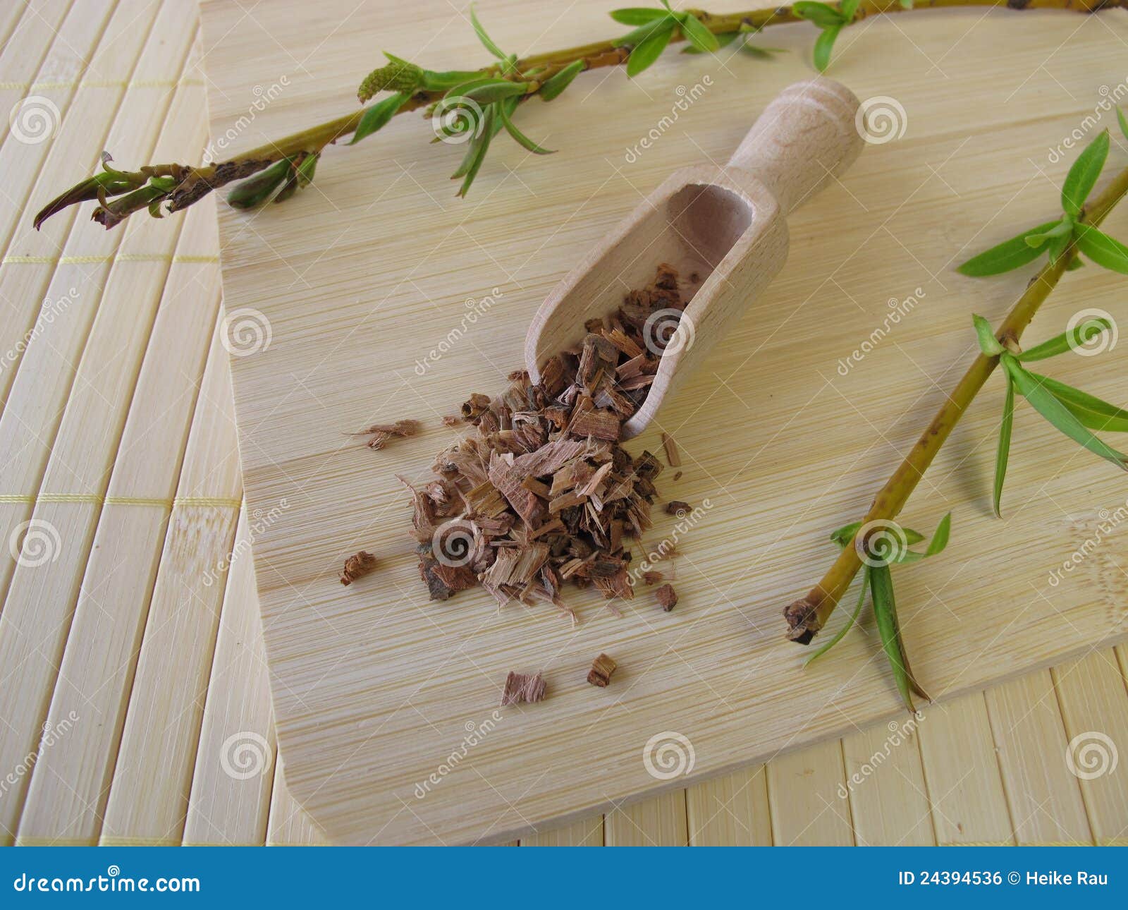 Willow Bark, Salicis Cortex Stock Photo - Image of tree, cortex: 24394536