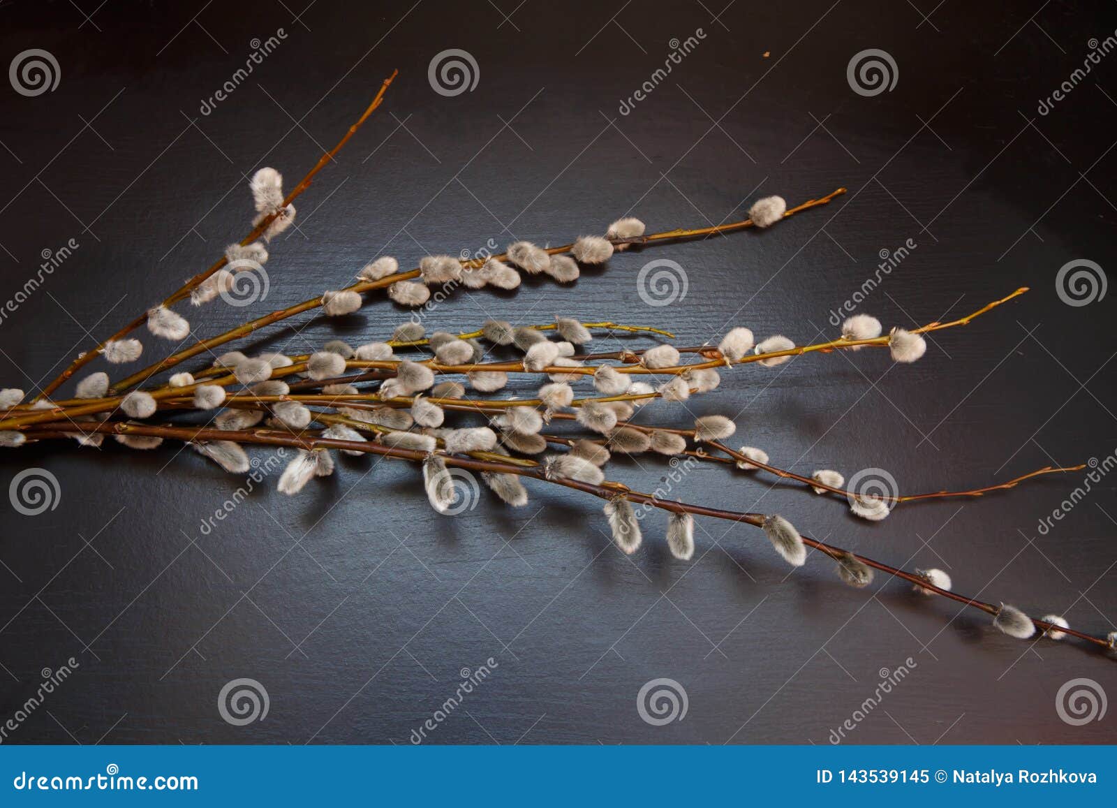 Willow branches in spring stock image. Image of background - 143539145