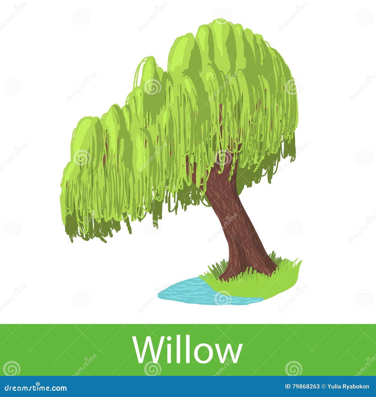 Willow cartoon tree stock vector. Illustration of nature - 79868263