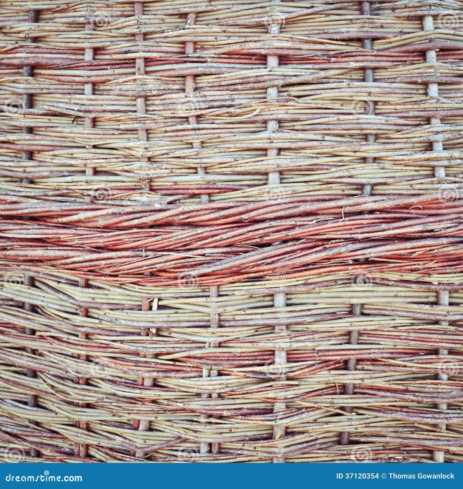 Willow fiber stock photo. Image of traditional, wattle - 37120354