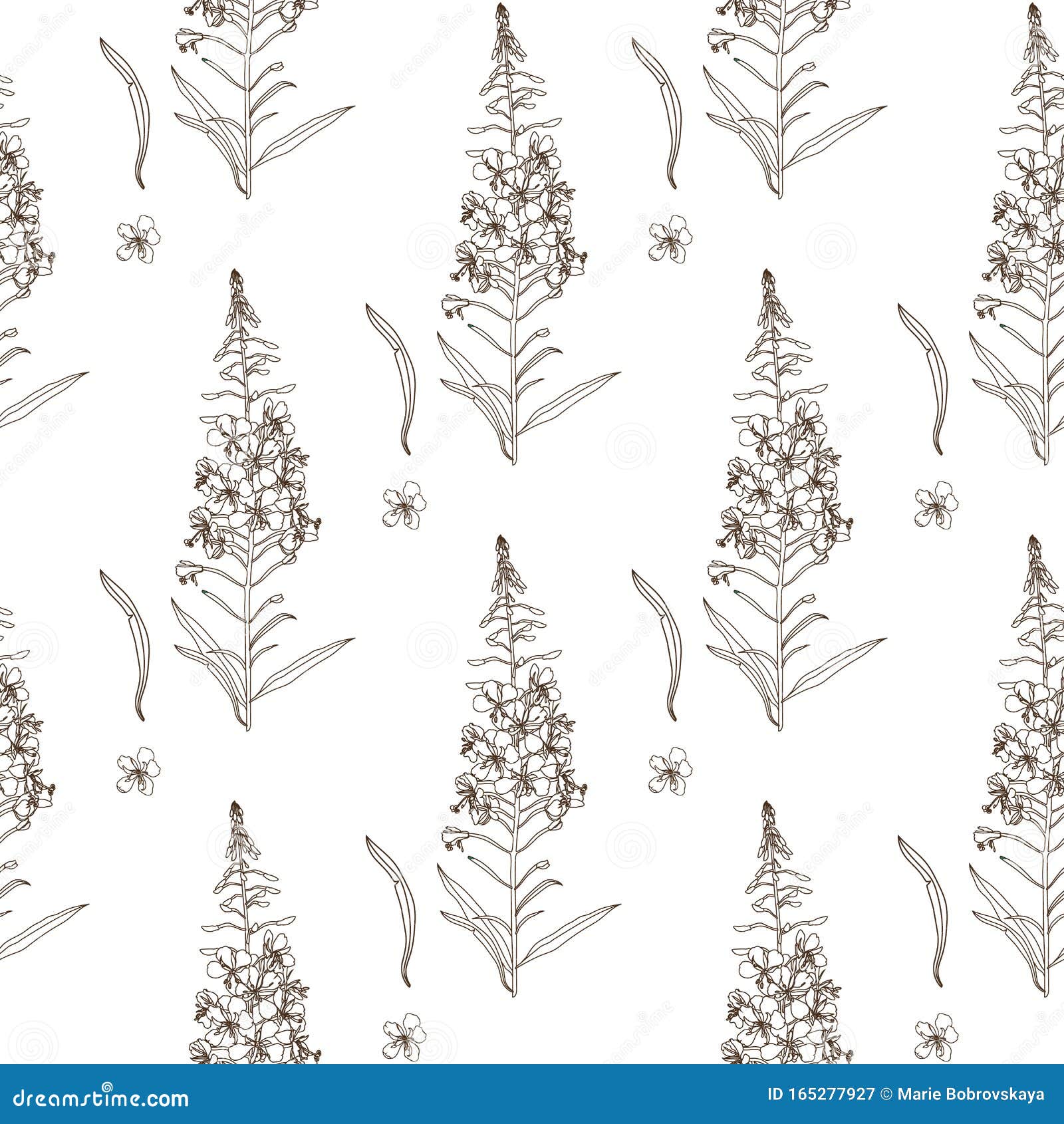 Willow Herb Seamless Pattern. Hand Drawn Botanical Vector Illustration ...