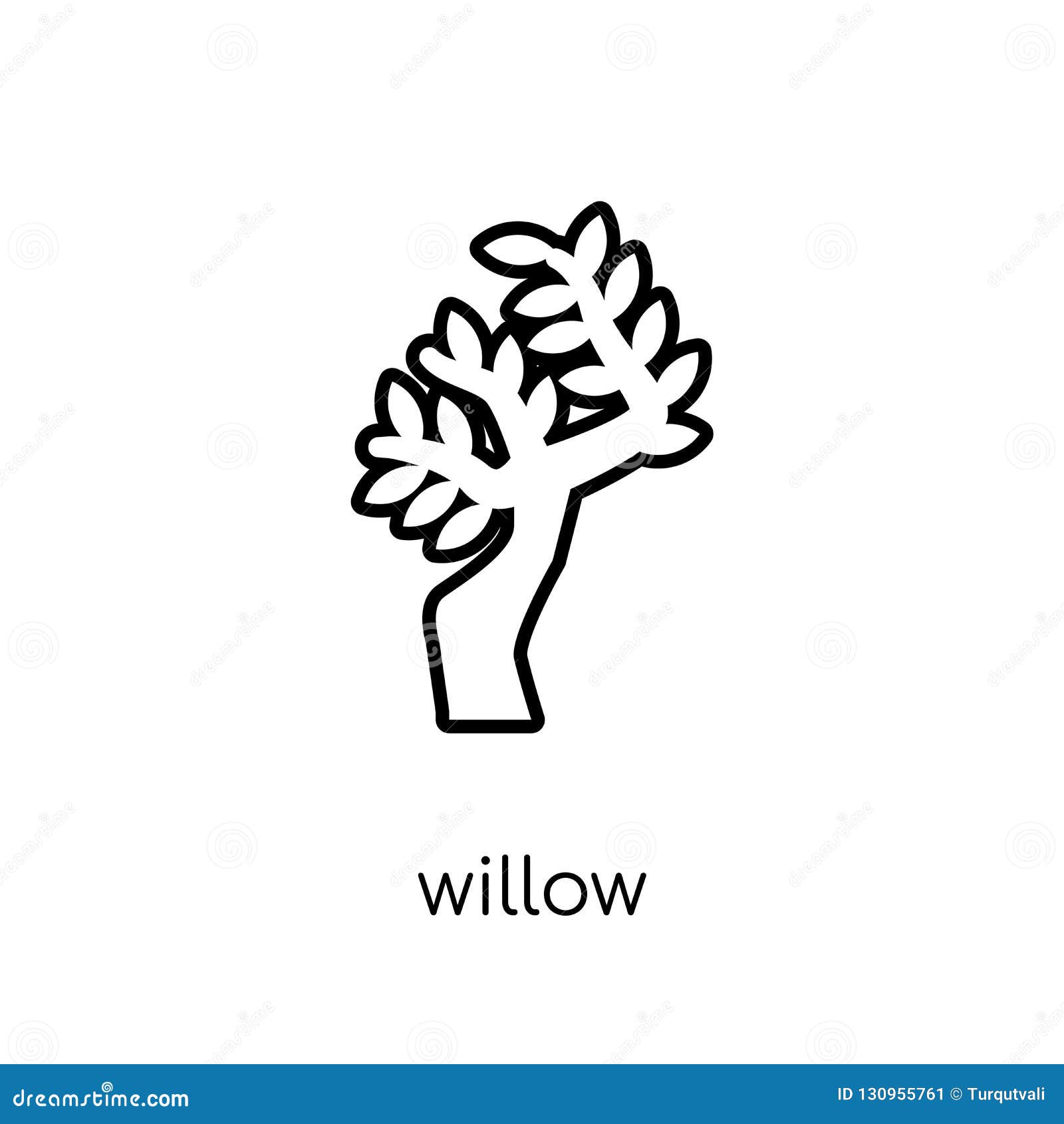 Willow Icon. Trendy Modern Flat Linear Vector Willow Icon on White ...