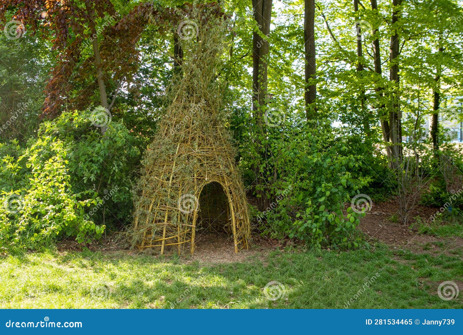 Brown Willow Teepee Stands in Front of Green Trees in a Meadow Stock ...