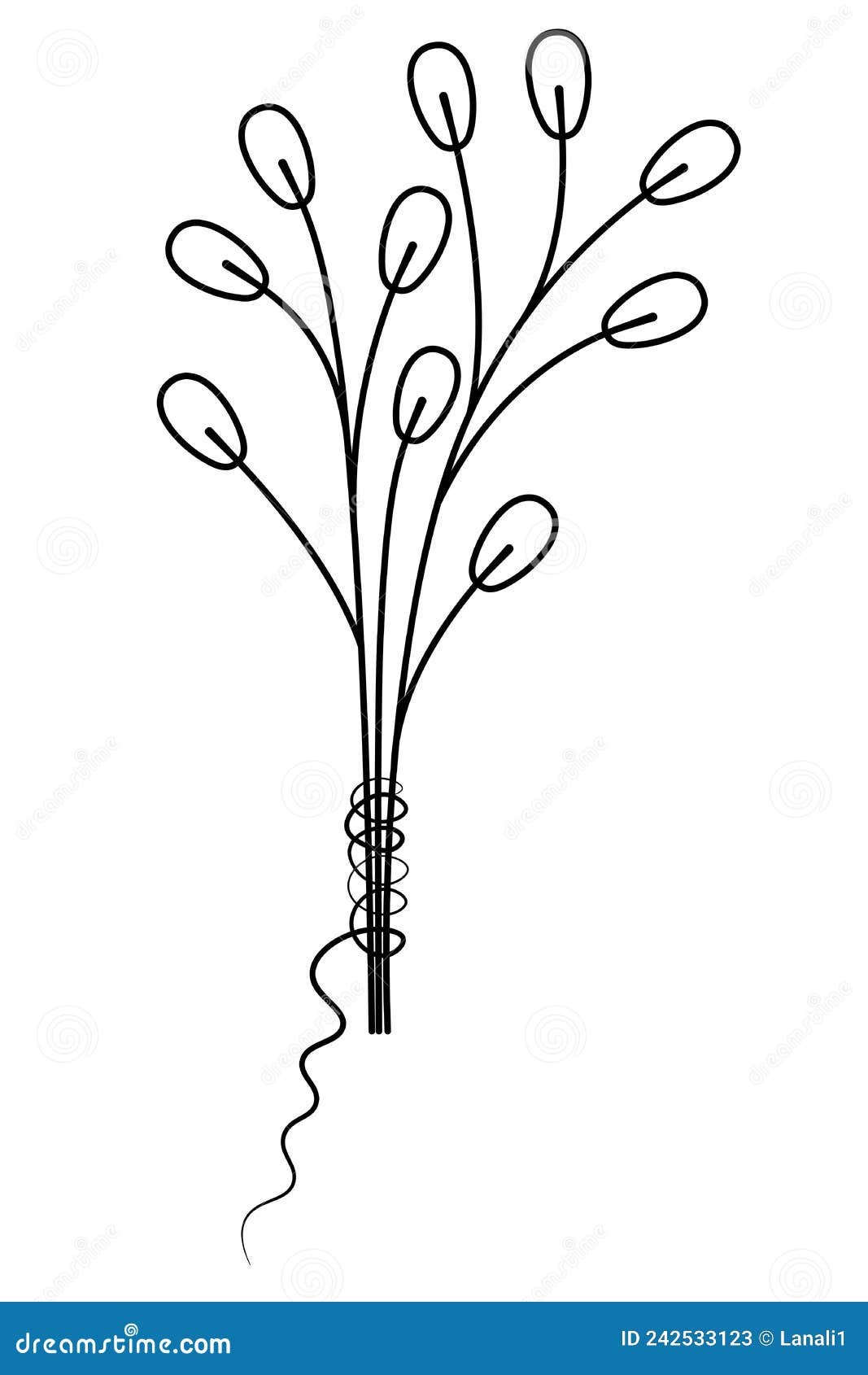 Willow. Tree Branches are Tied with Thread. Sketch. Vector Illustration ...