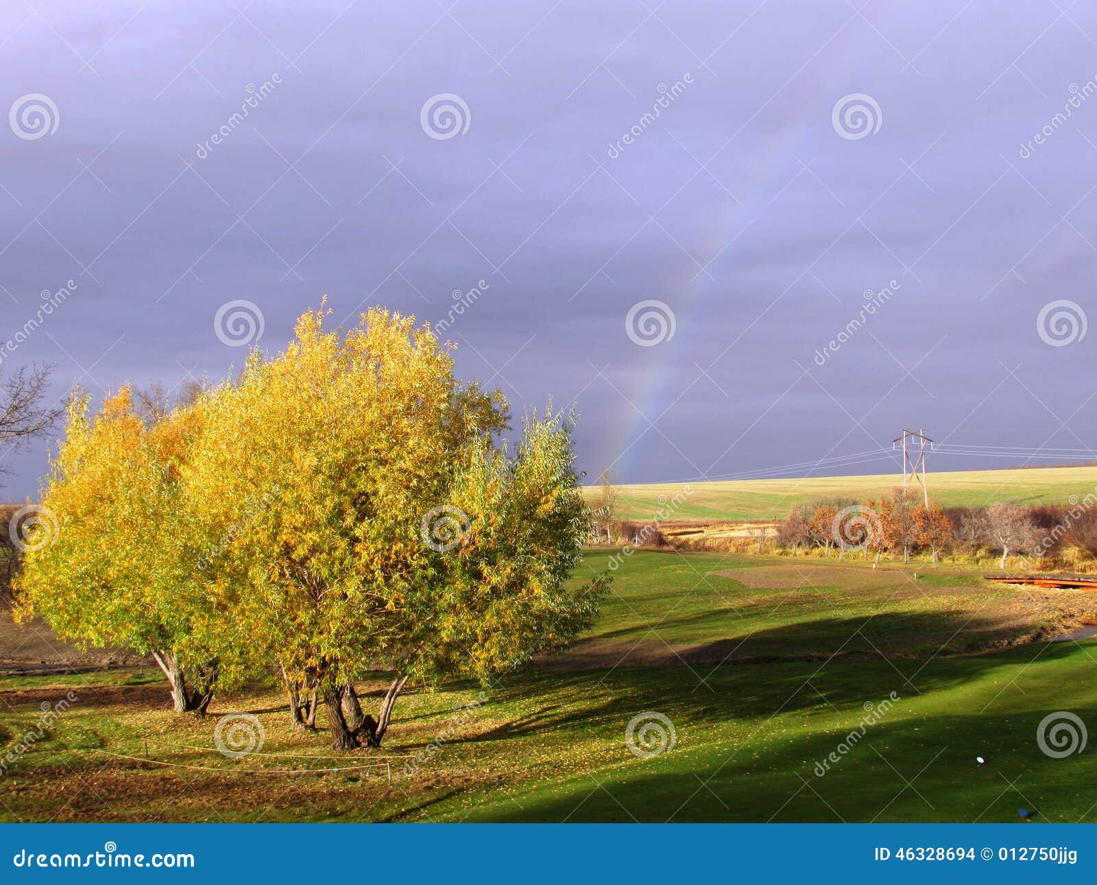Willow Tree at Flowing Springs and Rainbow Stock Photo - Image of ...