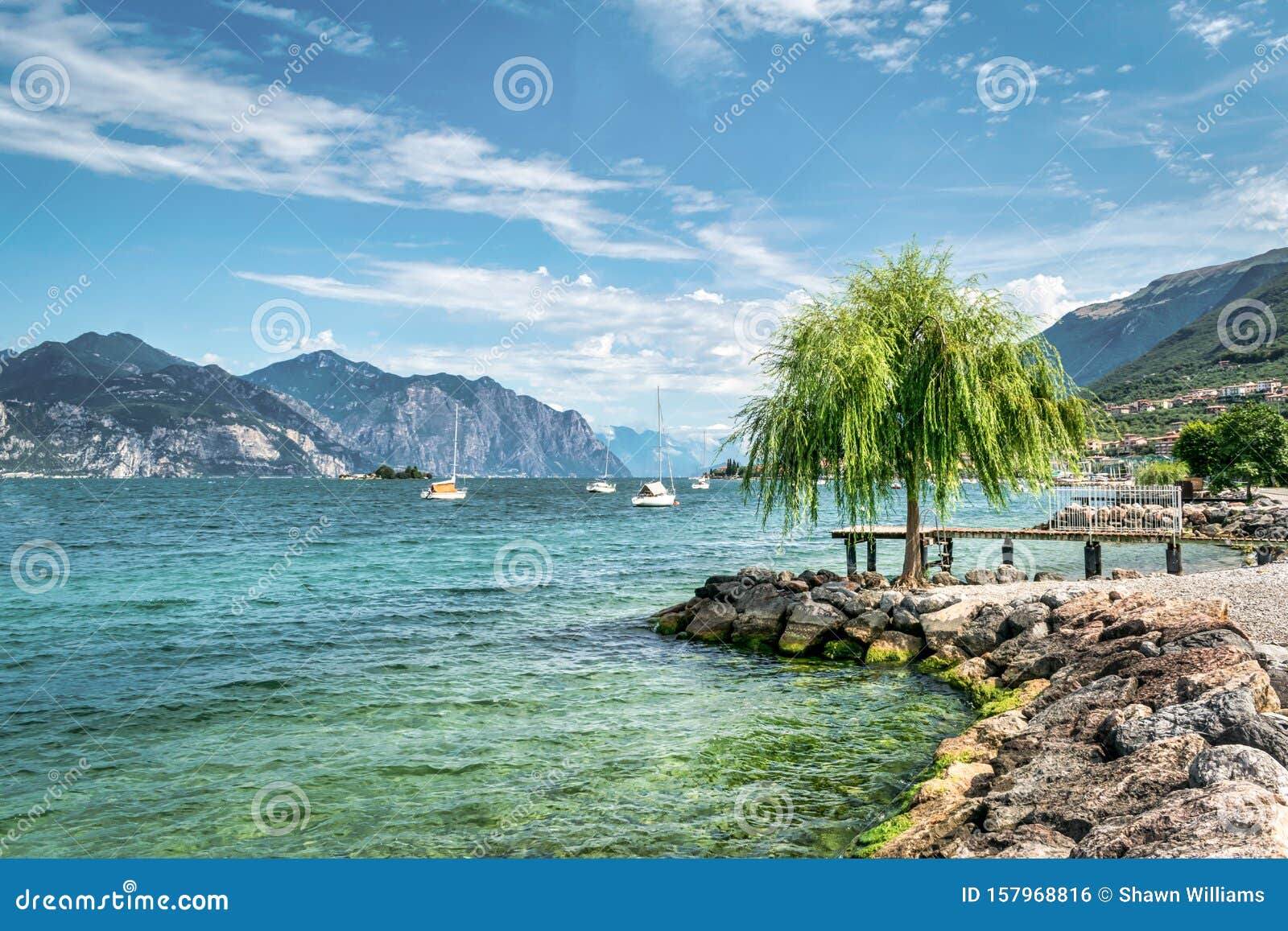 Willow Tree and Lake Garda stock photo. Image of blue - 157968816