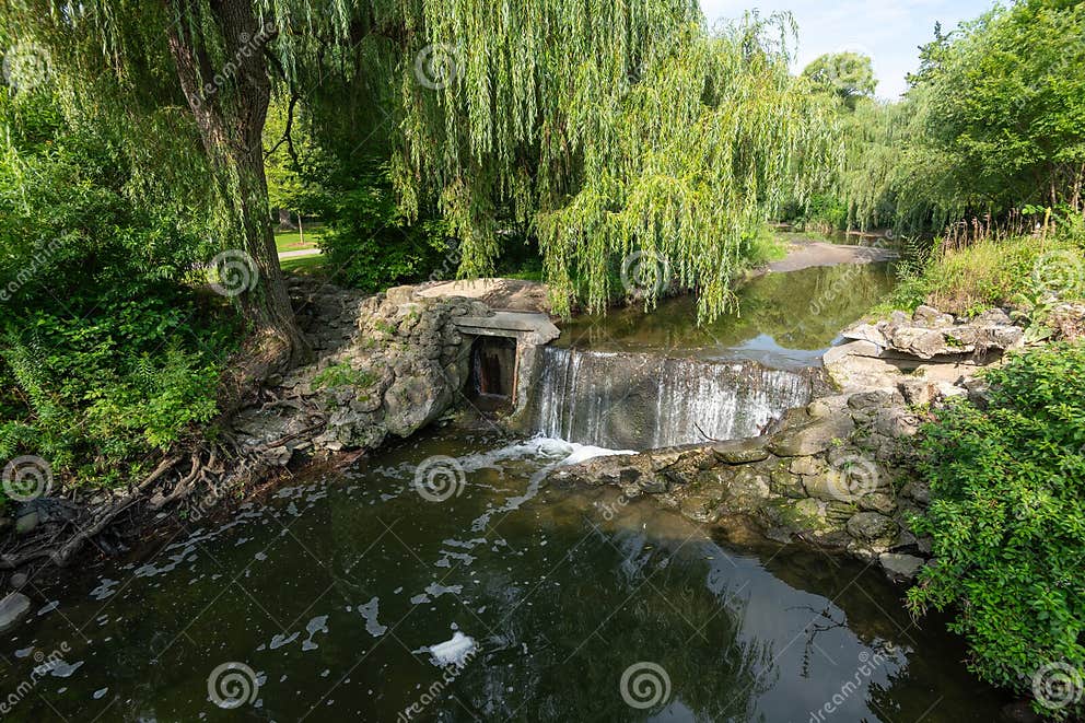 Willow Tree in the Park with Waterfall Stock Image - Image of willow ...