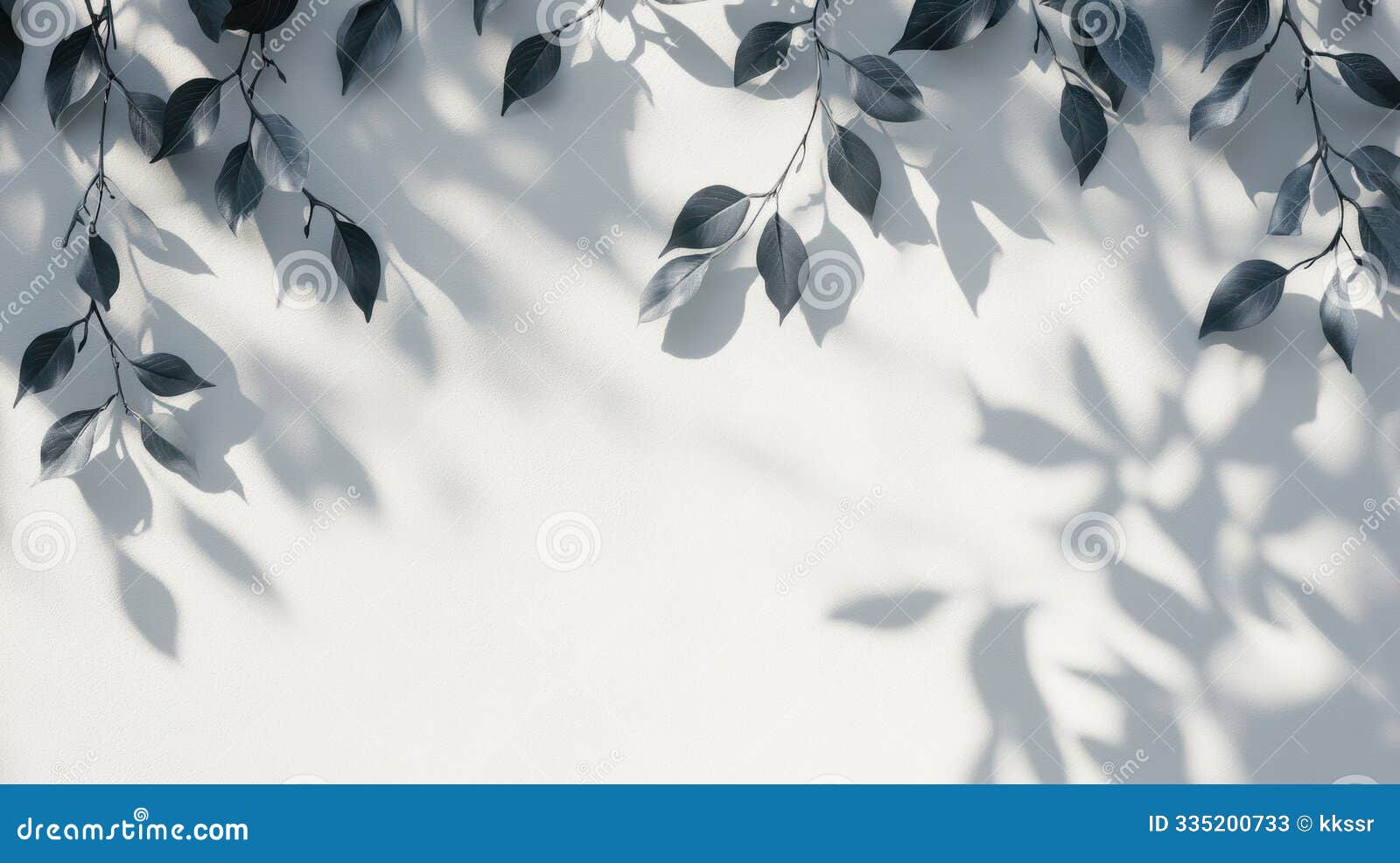 Willow Tree Shadow, Gray Shadows of Willow Tree Leaves Cast on a White ...