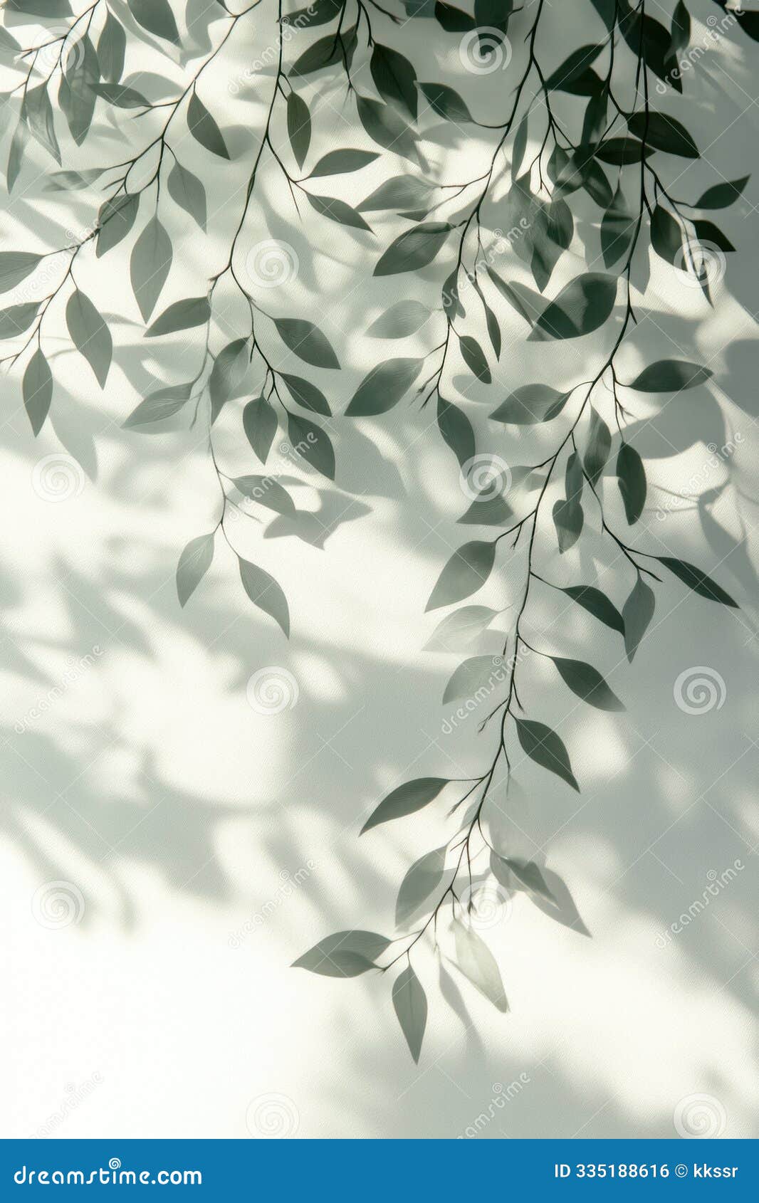 Willow Tree Shadow, a Gray Silhouette of Willow Tree Leaves Cast Onto a ...