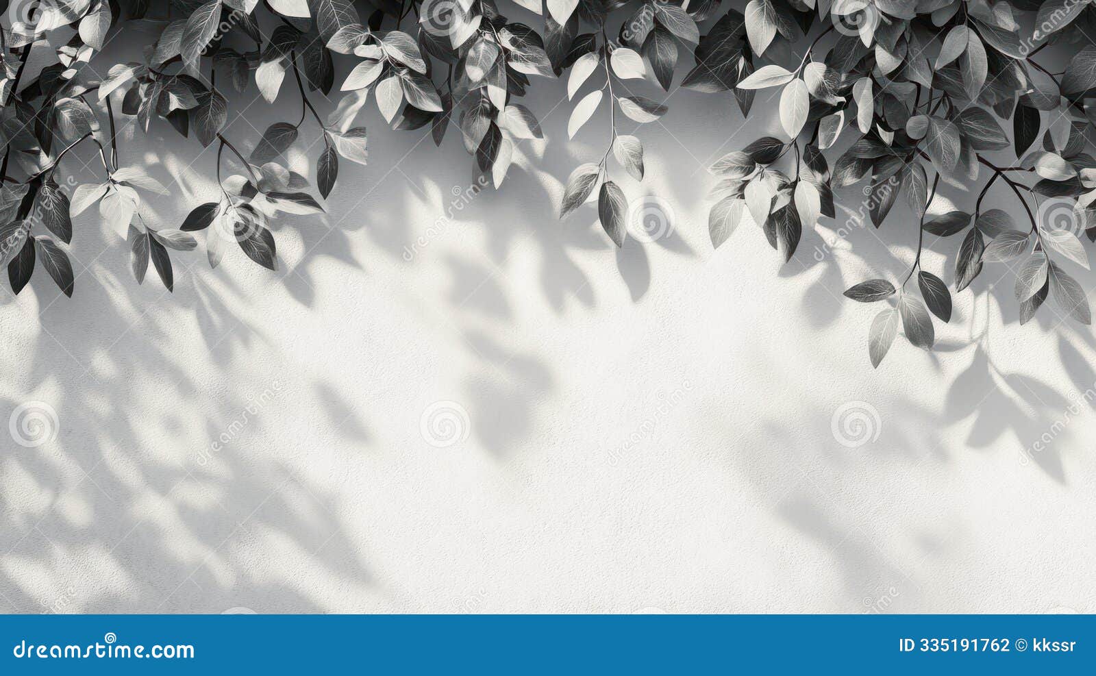 Willow Tree Shadow, a Gray Silhouette of Willow Tree Leaves Cast on a ...